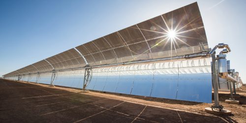 Zimbabwe: Tanganda Tea Company Invests U.S.$8 Million in Solar Projects