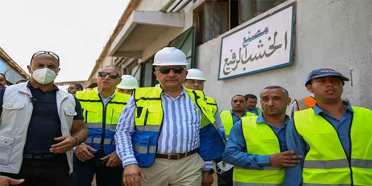 Egypt seeks to encourage indigenous manufacturing by reviving the flax ...
